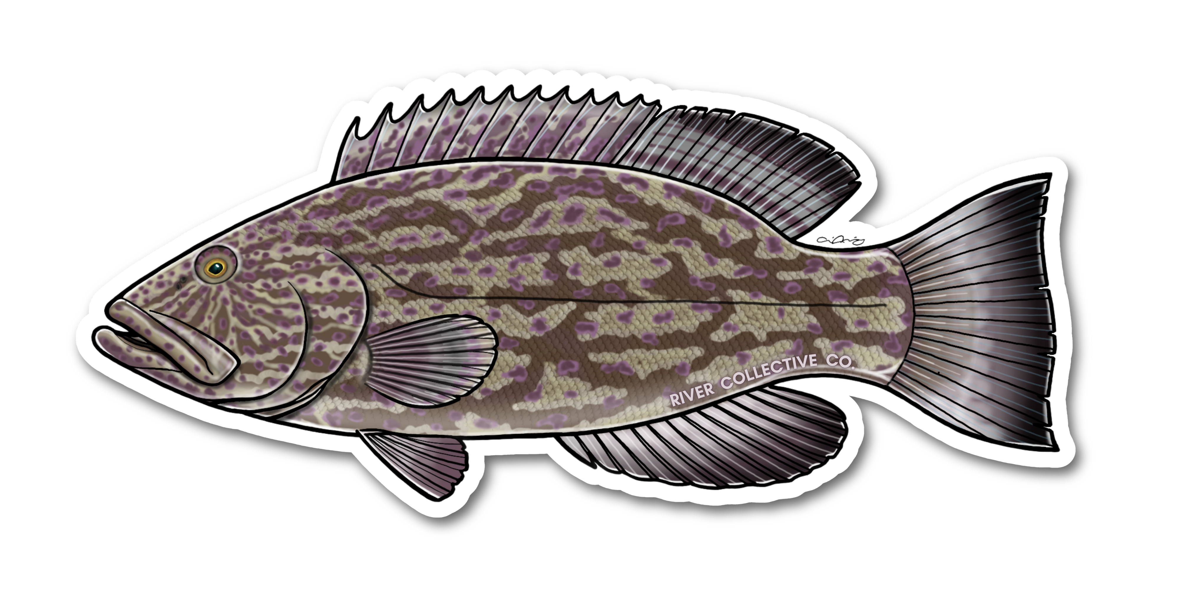 BLACK GROUPER DECAL STICKER – River Collective Co.