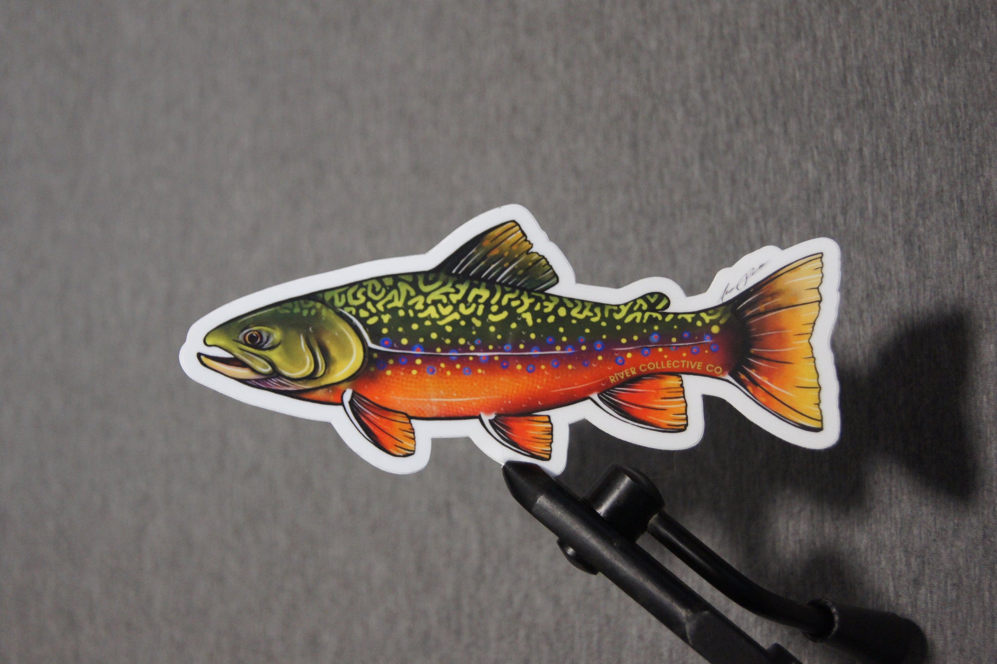 BROOK TROUT DECAL – River Collective Co.